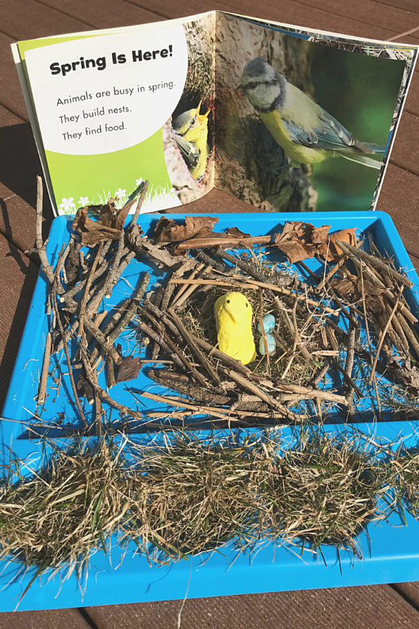 3 Fun Spring Sensory Bins for Toddlers and Preschoolers