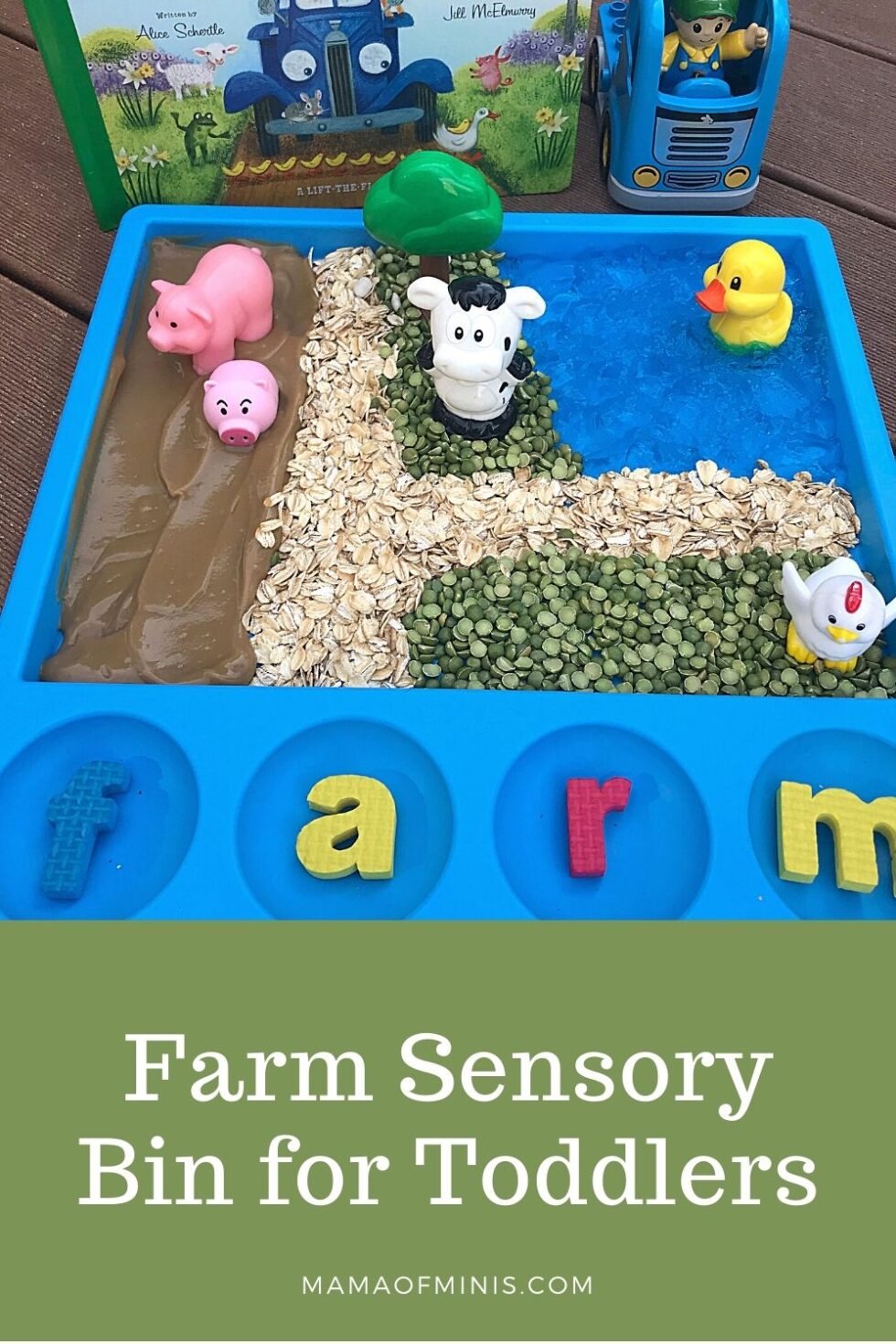 Taste Safe Farm Sensory Bin for Toddlers