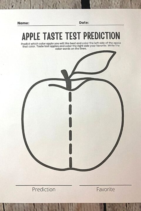Apple Taste Testing Activity for Kids and Free Printable