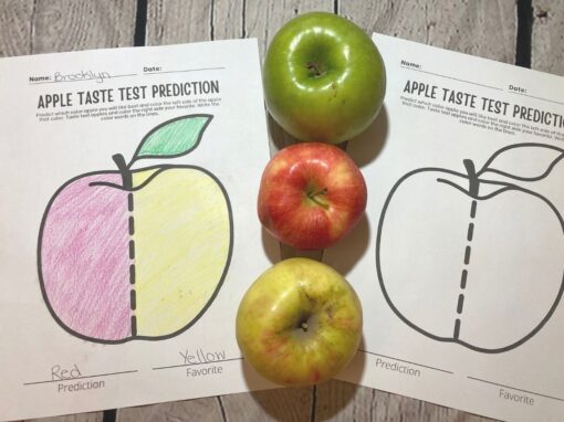Apple Taste Testing Activity for Kids and Free Printable