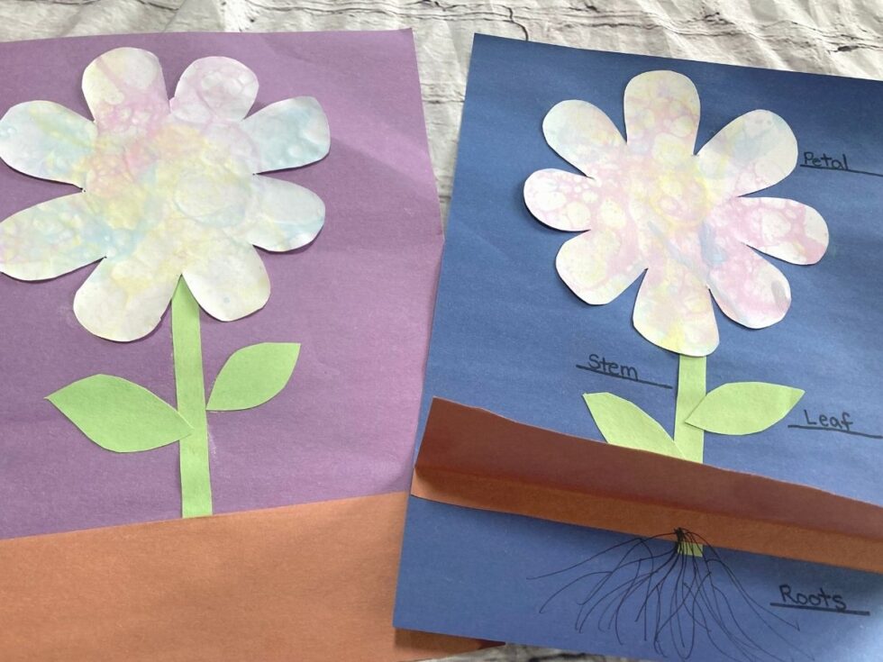 Parts of a Flower Craft for Kids - Mama of Minis