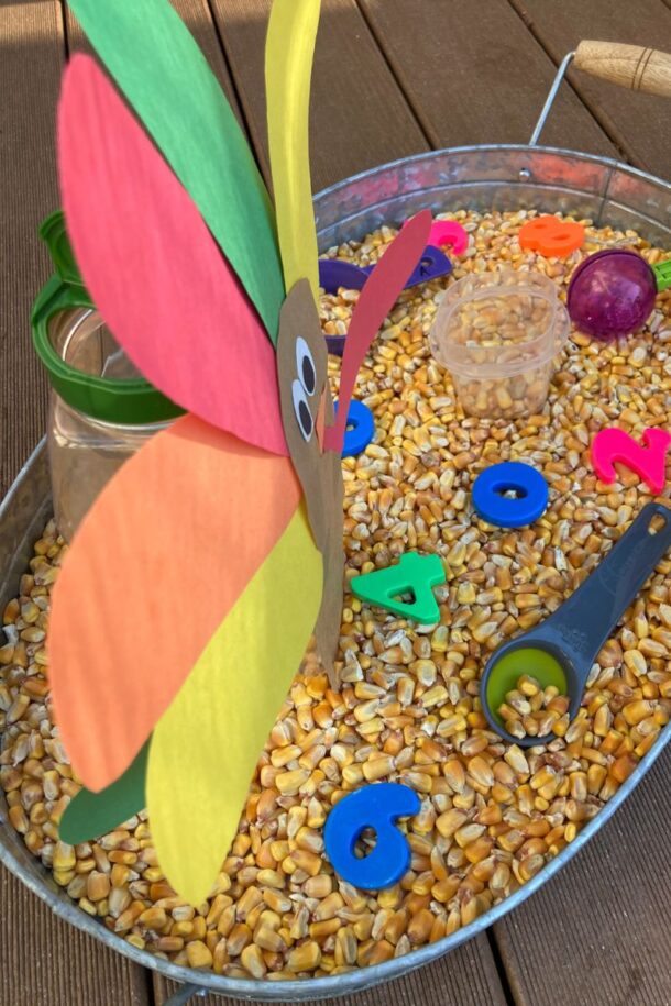 Feed the Turkey Thanksgiving Sensory Bin