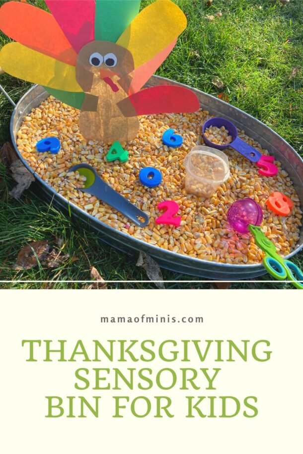Feed the Turkey Thanksgiving Sensory Bin