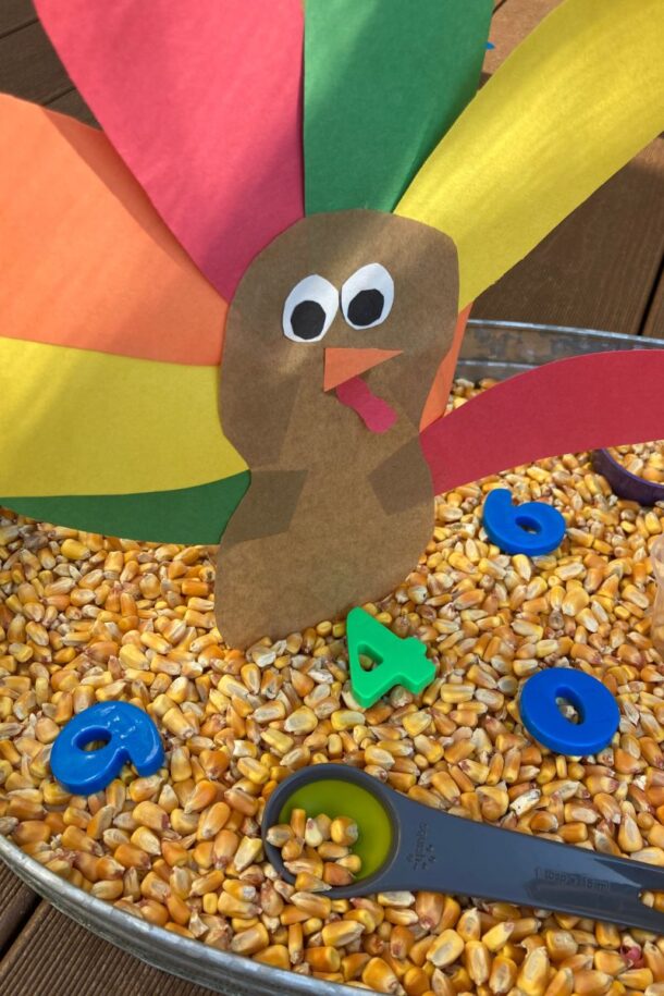 Feed the Turkey Thanksgiving Sensory Bin