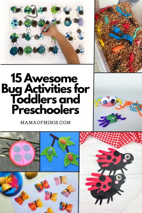 15 Awesome Bug Activities for Toddlers and Preschoolers - Mama of Minis