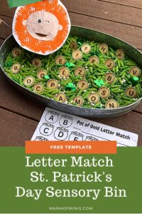 Letter Match St. Patrick's Day Sensory Bin - Mama of Minis