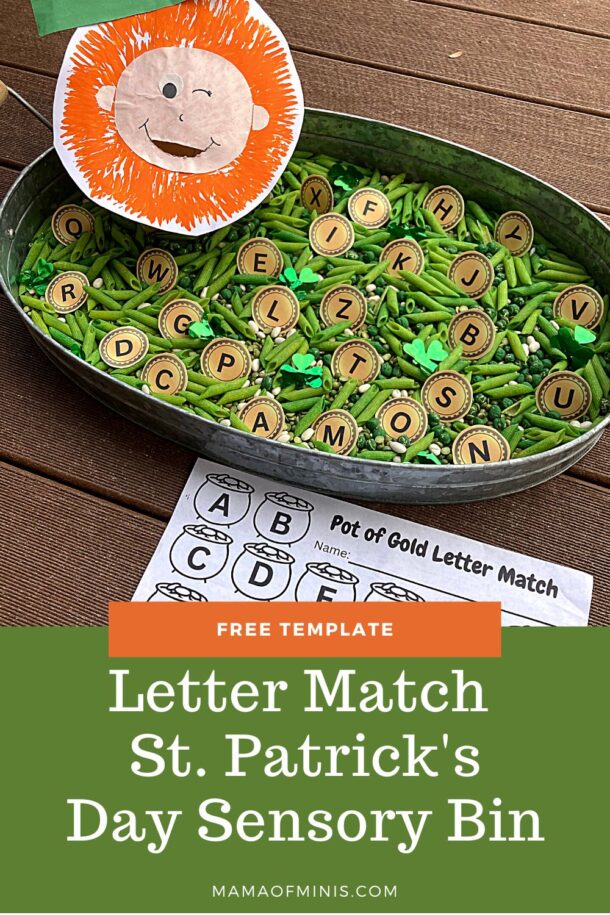 Letter Match St. Patrick's Day Sensory Bin - Mama of Minis