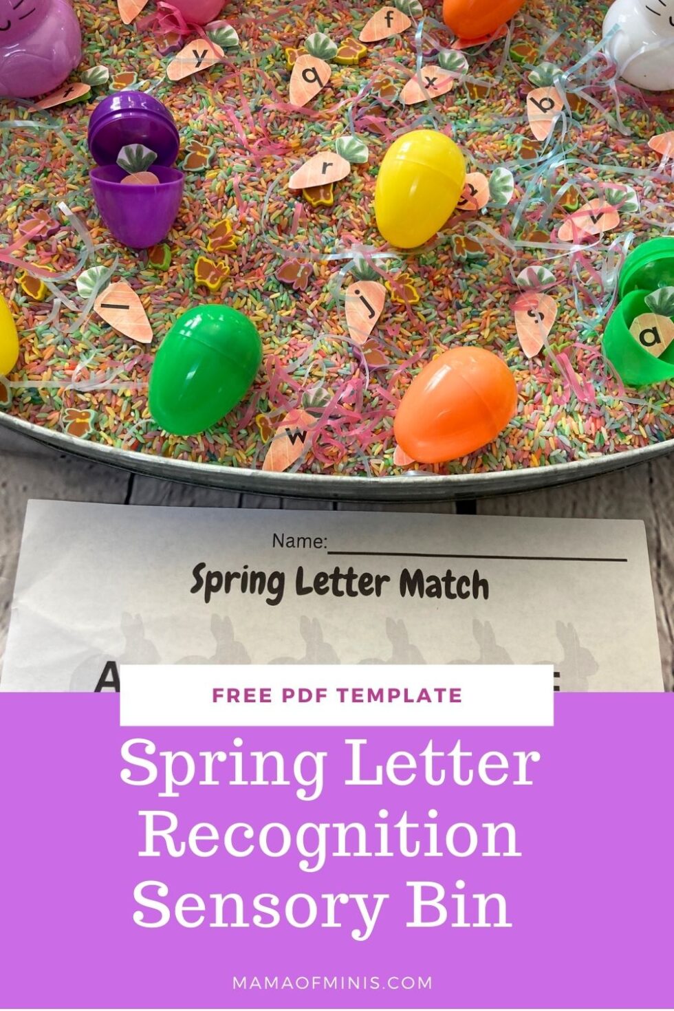 Spring Letter Recognition Activity and Sensory Bin