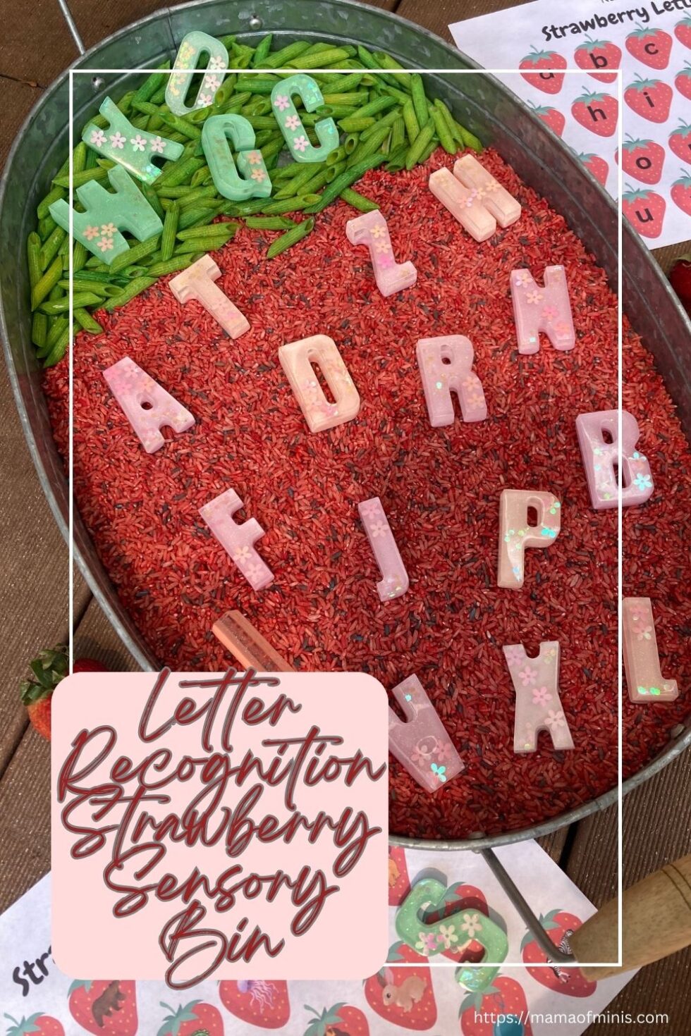 Strawberry Sensory Bin with Free Letter Recognition Printable