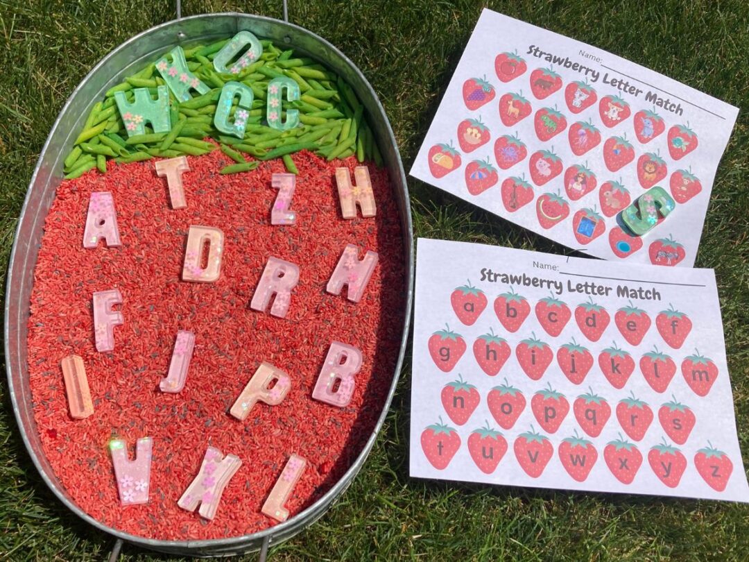 Strawberry Sensory Bin with Free Letter Recognition Printable