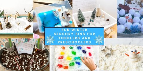 12 Fun Winter Sensory Bins for Preschoolers