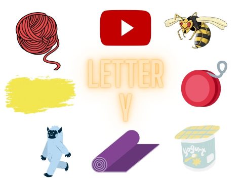 55 Awesome Show and Tell Letter Y Item Ideas