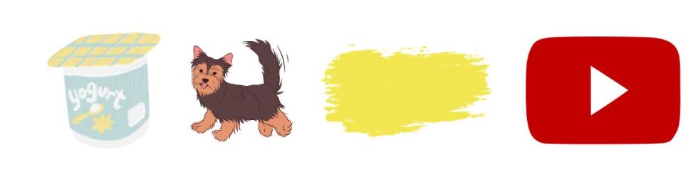 55 Awesome Show and Tell Letter Y Item Ideas