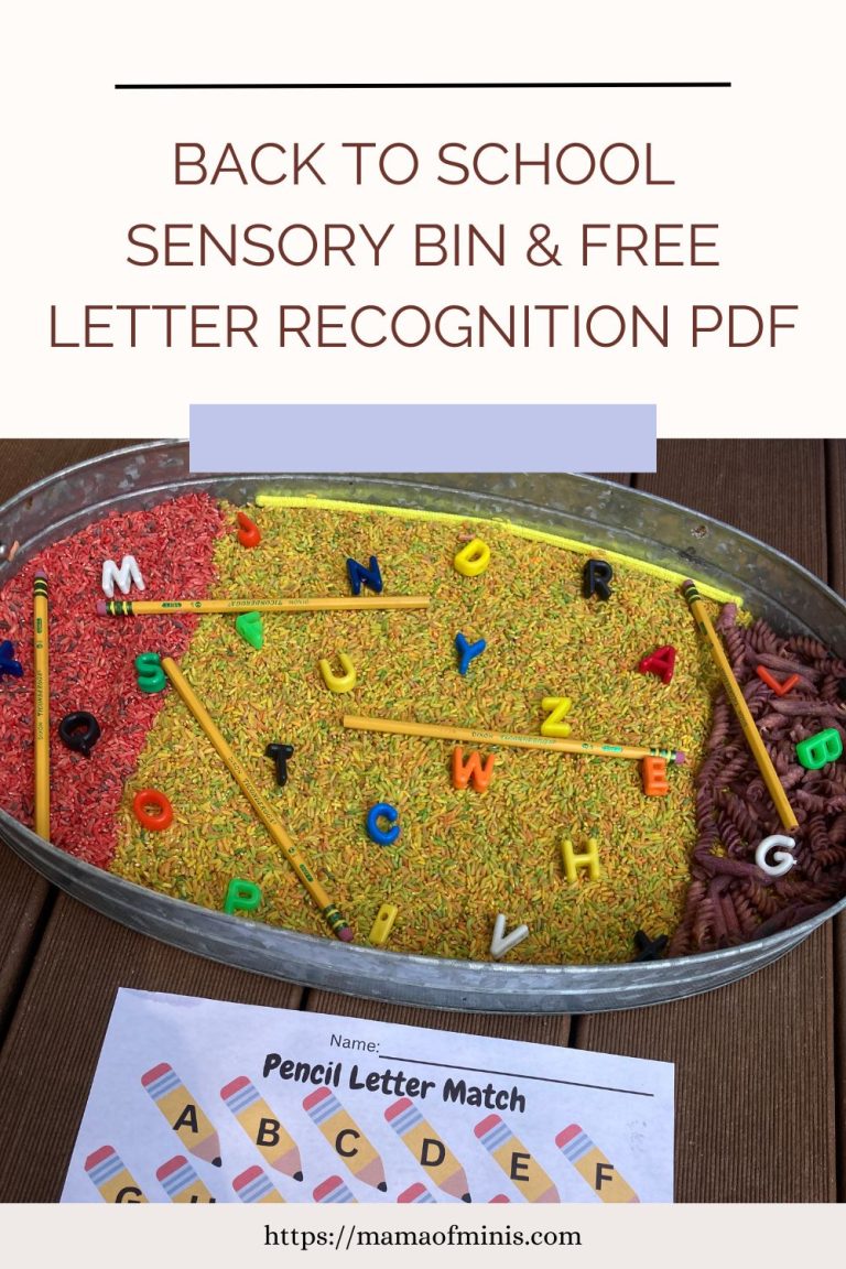Back to School Pencil Sensory Bin and Free Template