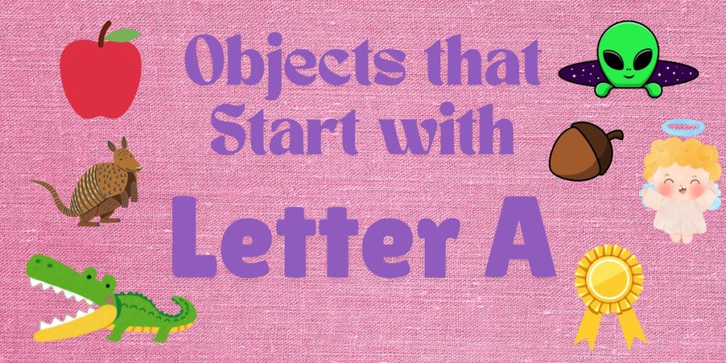 270+ Brilliant Objects that Start with B