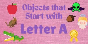 150+ Amazing Objects that Start with A