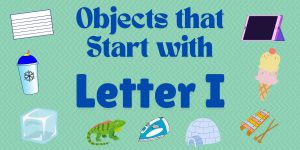 117 Incredible Objects that Start with I