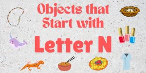 112 Nice Objects that Start with N