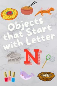 112 Nice Objects that Start with N
