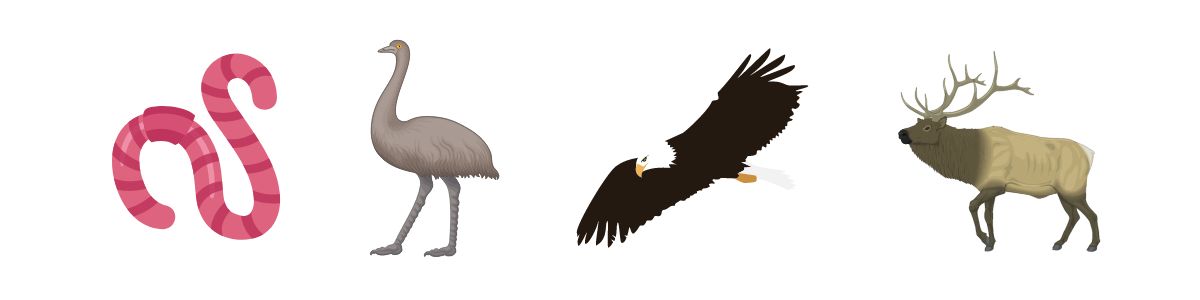 120 Excellent Objects that Start with E