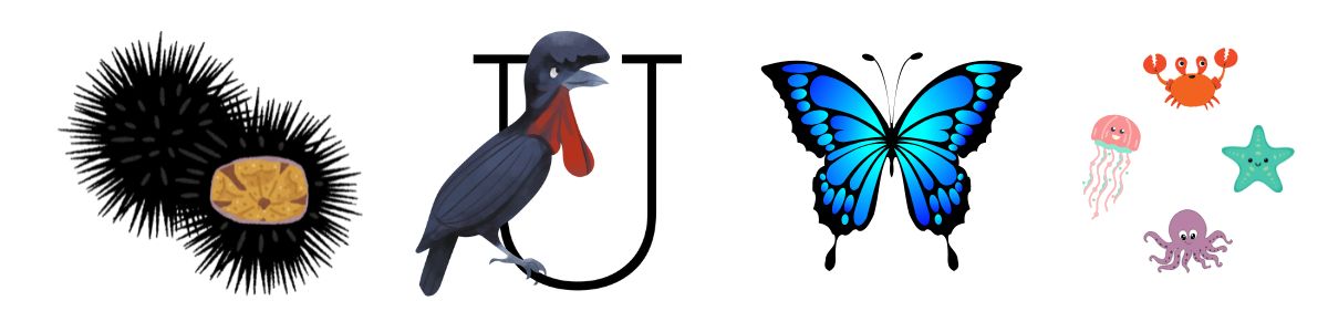 100 Ultimate Objects that Start with U