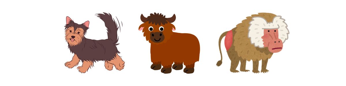 61 Awesome Objects that Start with Y