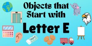 120 Excellent Objects that Start with E