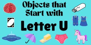 100 Ultimate Objects that Start with U