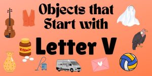 103 Vibrant Objects that Start with V