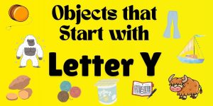 61 Awesome Objects that Start with Y