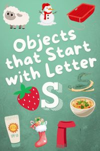 350+ Sensational Objects that Start with S