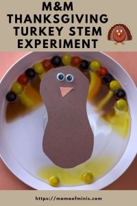 M&M Thanksgiving Turkey STEM Activity for Preschool