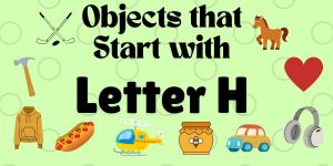 163 Helpful Objects that Start with H