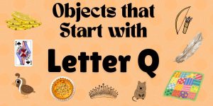 82 Quite Great Objects that Start with Q