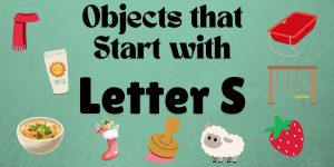 350+ Sensational Objects that Start with S