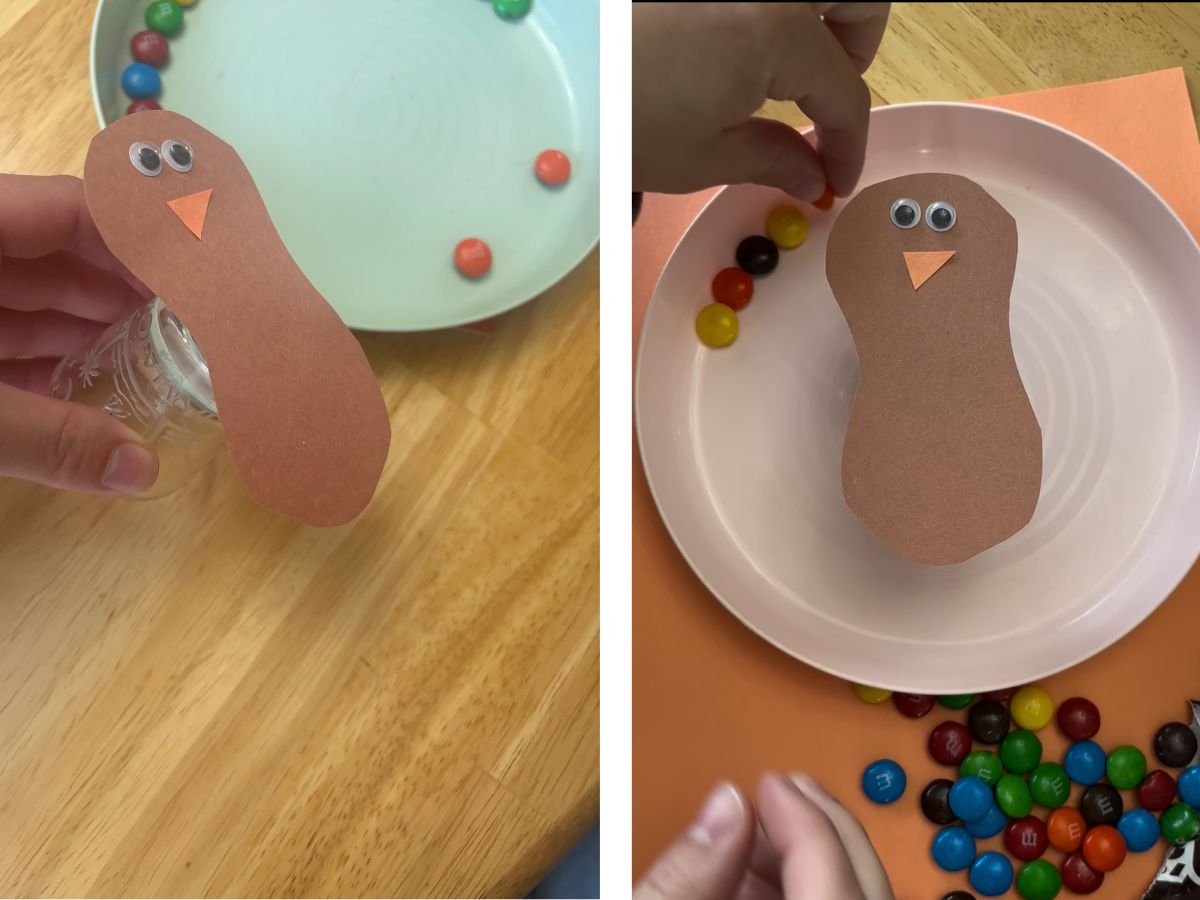 M&M Thanksgiving Turkey STEM Activity for Preschool