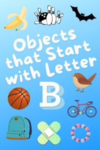 270+ Brilliant Objects that Start with B