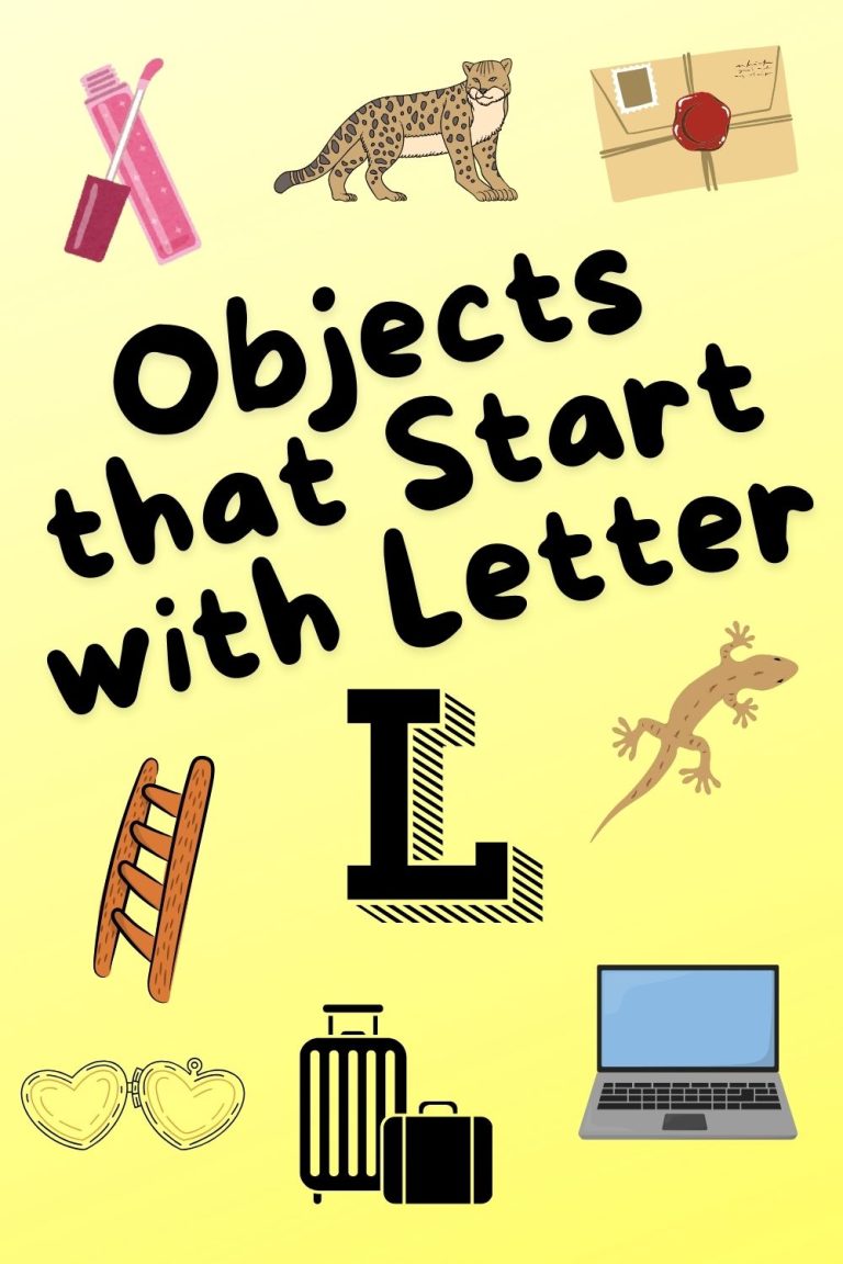 180+ Lovely Objects that Start with L