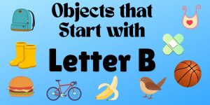 270+ Brilliant Objects that Start with B