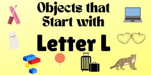 180+ Lovely Objects that Start with L