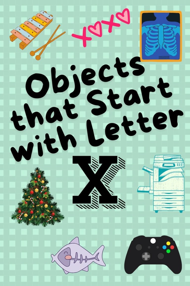 54 Xtraordinary Objects that Start with X