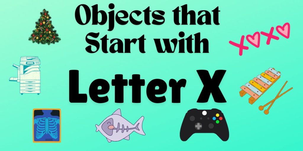54 Xtraordinary Objects that Start with X