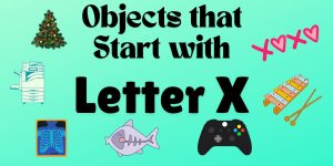 54 Xtraordinary Objects that Start with X
