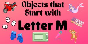 200 Marvelous Objects that Start with M