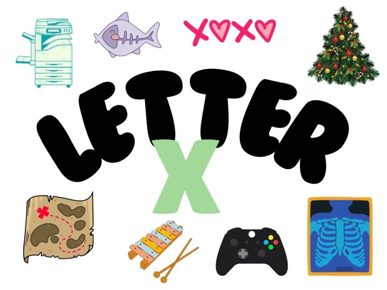 54 Xtraordinary Objects that Start with X