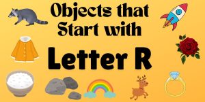 200+ Radiant Objects that Start with R