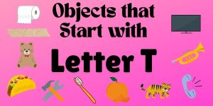 250+ Teriffic Objects that Start with T