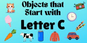 375 Objects that Start with C (for Children)
