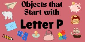 295+ Perfect Objects that Start with P