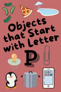 295+ Perfect Objects that Start with P